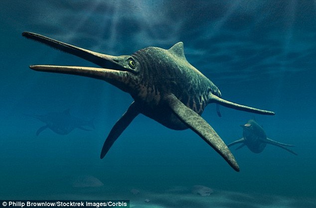 200-Million-Year-Old Ichthyosaur Complete Fossil Discovered. – All ...